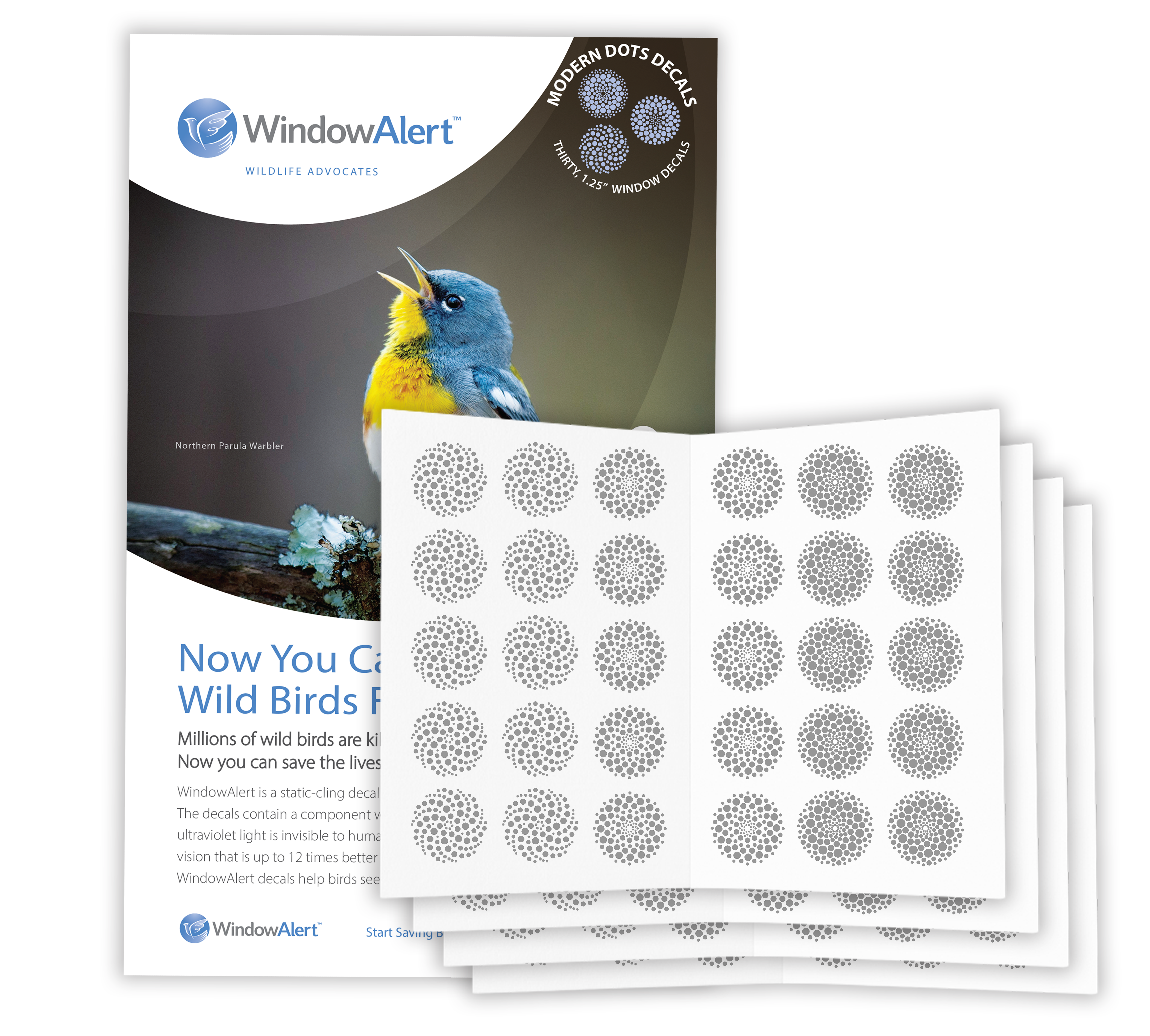 Prevent Birds From Striking Windows | WindowAlert Decals