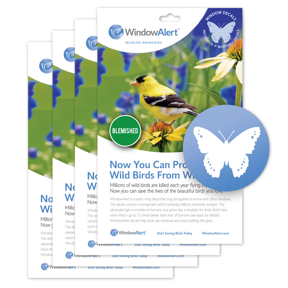 Prevent Birds From Striking Windows | WindowAlert Decals
