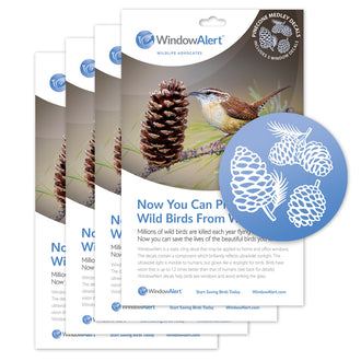 Prevent Birds From Striking Windows | WindowAlert Decals