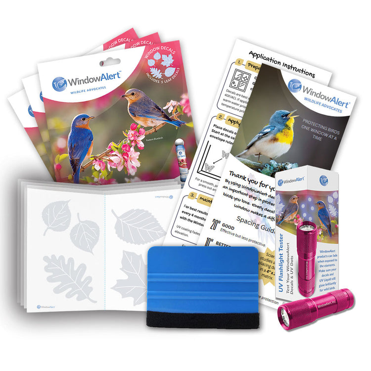 Prevent Birds From Striking Windows | WindowAlert Decals