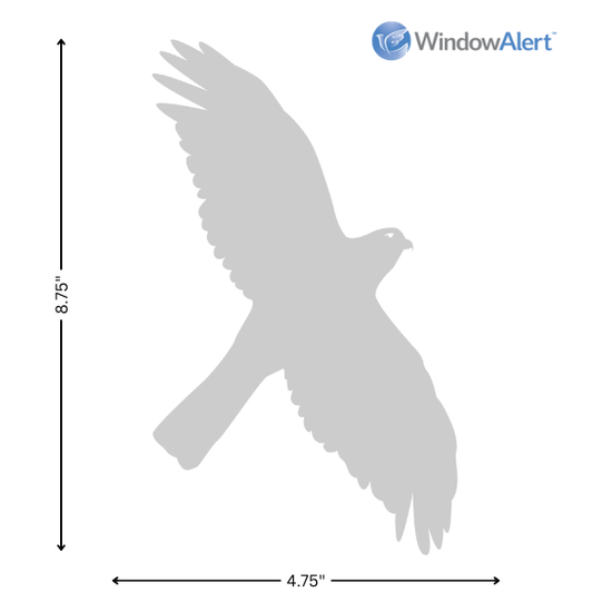 Hawk Decal Envelope – WindowAlert