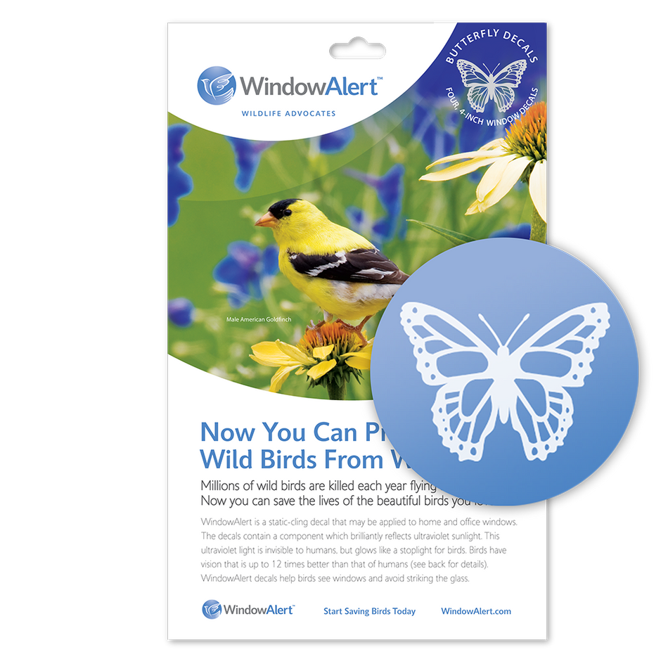 Prevent Birds From Striking Windows | WindowAlert Decals