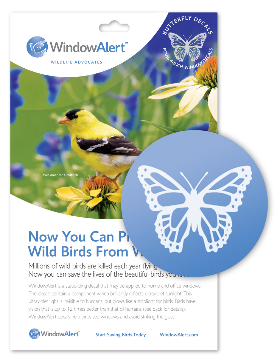 WindowAlert Decals to Prevent Bird Collisions