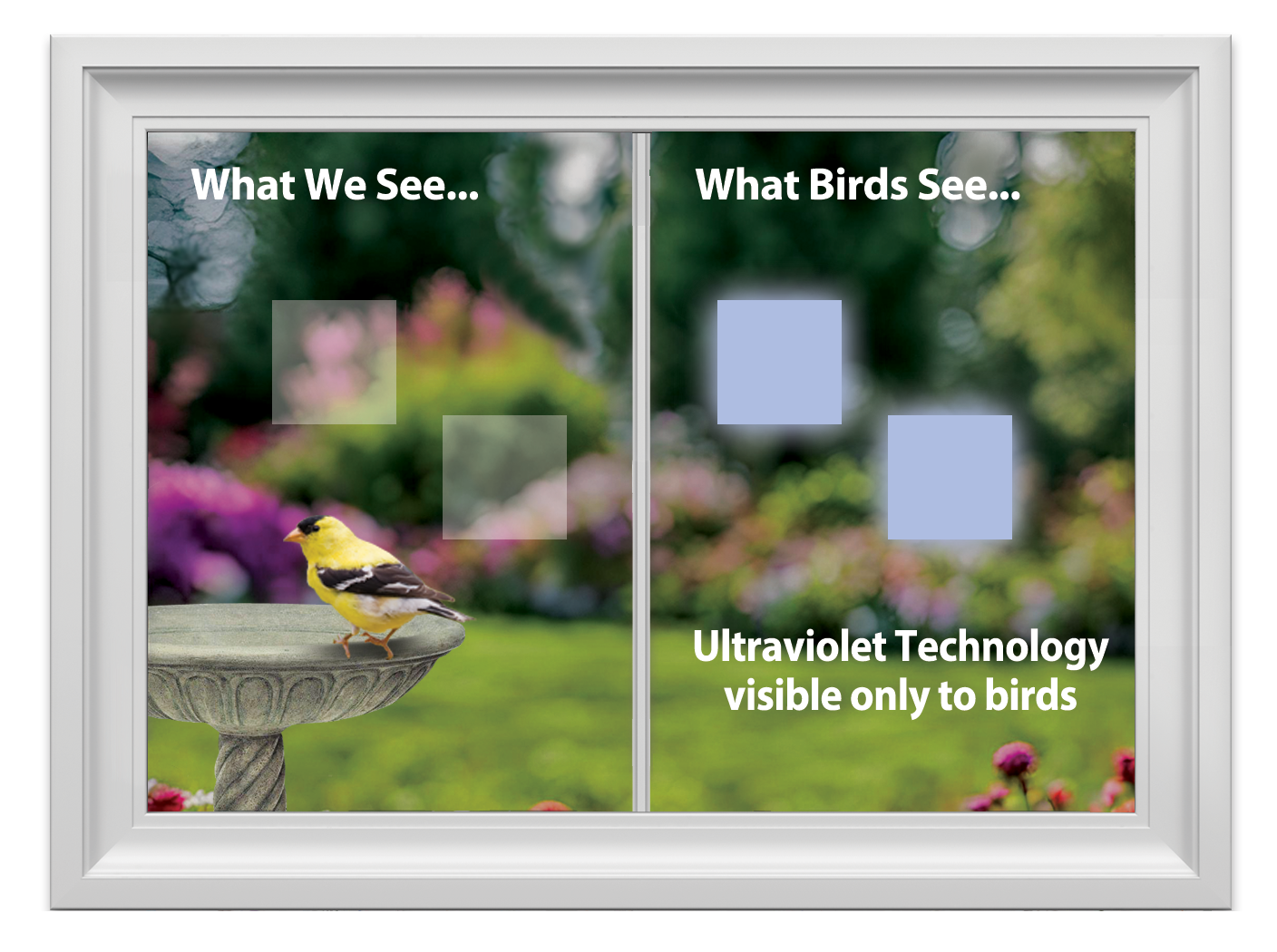 Classic Square Decal Envelope – WindowAlert