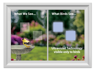 Classic Square Decal Envelope – WindowAlert