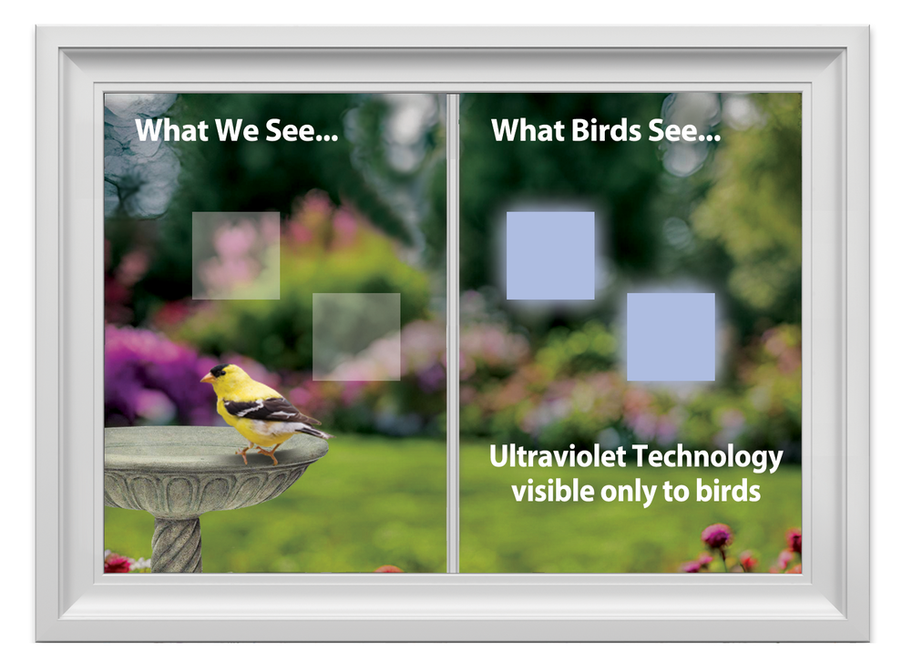 Classic Square UV Window Decals - Classic Series – WindowAlert
