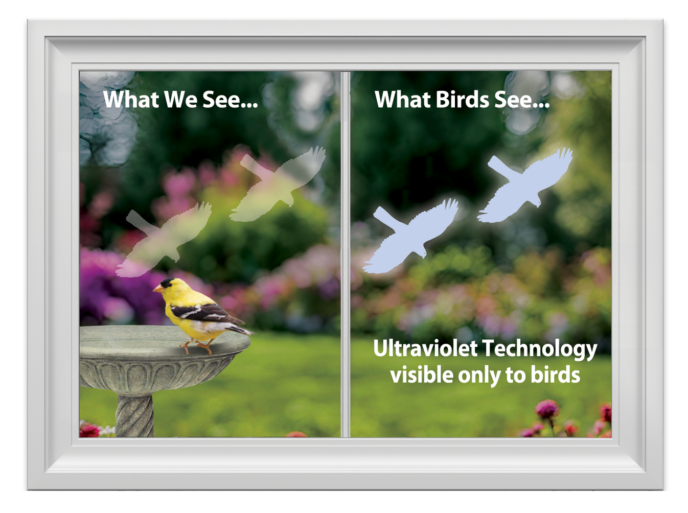 Hawk Decal Envelope – WindowAlert