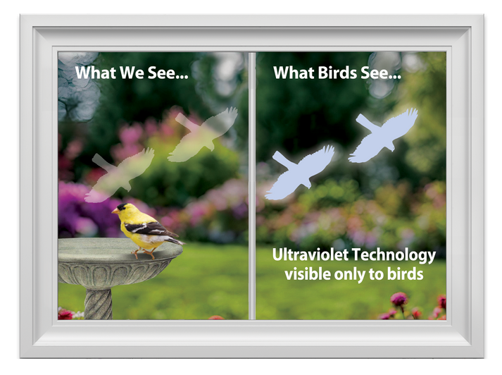 Hawk Decal Envelope – WindowAlert