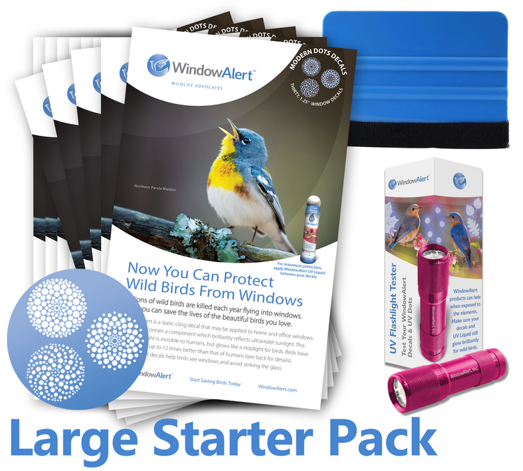 Collections – WindowAlert