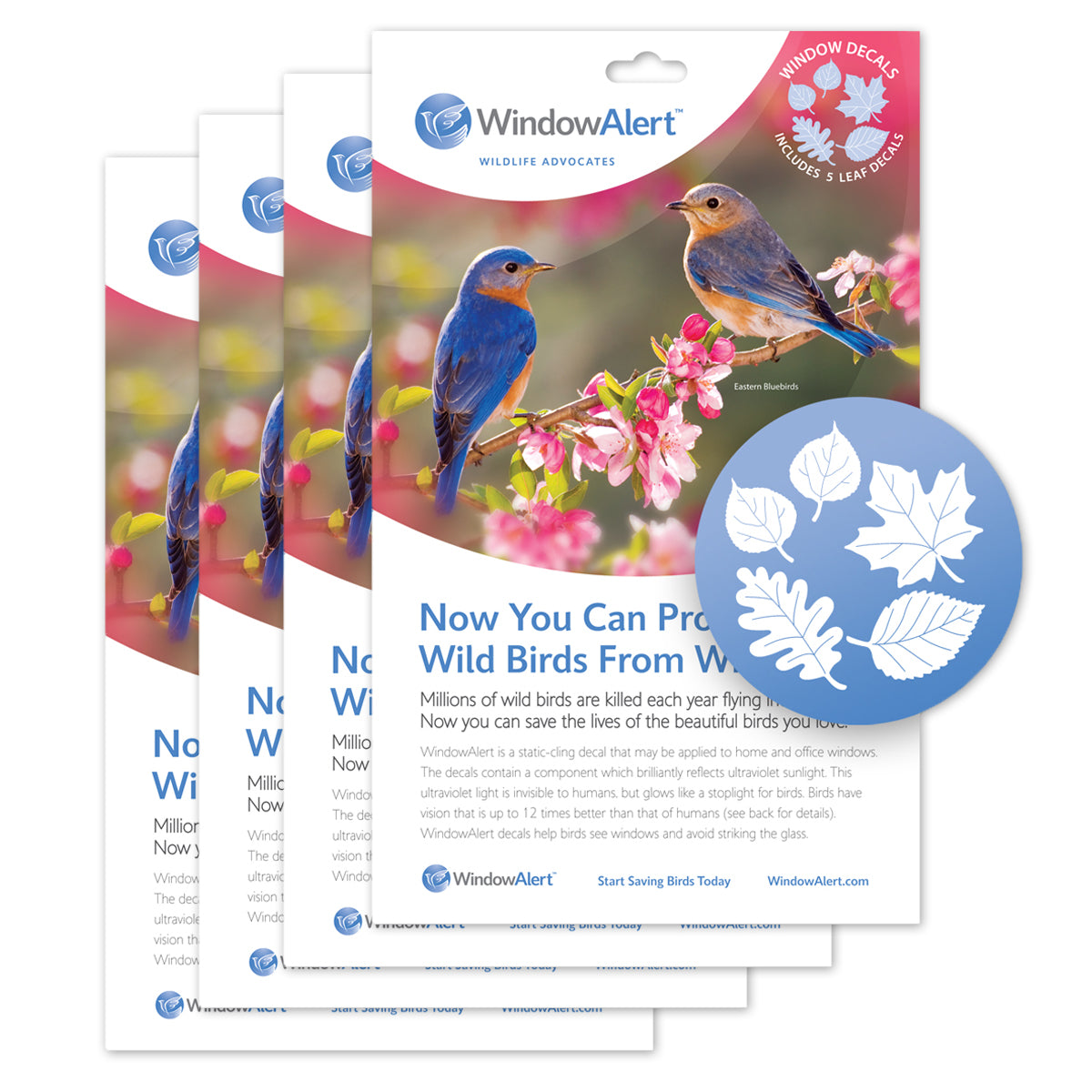 Bundle and Save - 4-Packs – WindowAlert