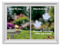 Maple Leaf Decal Envelope – WindowAlert