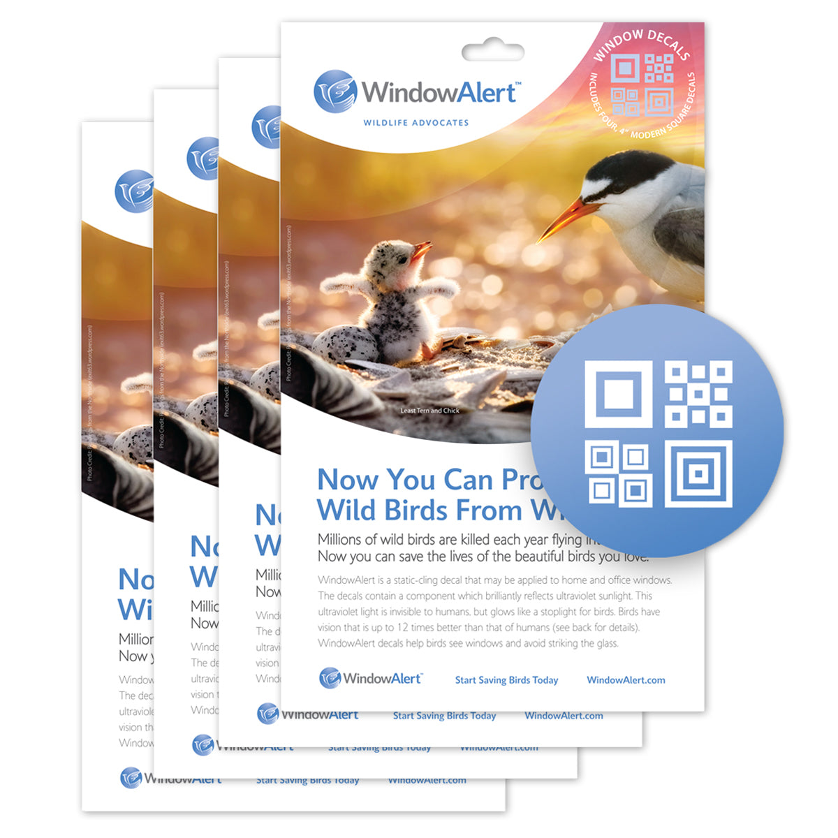 Bundle and Save - 4-Packs – WindowAlert