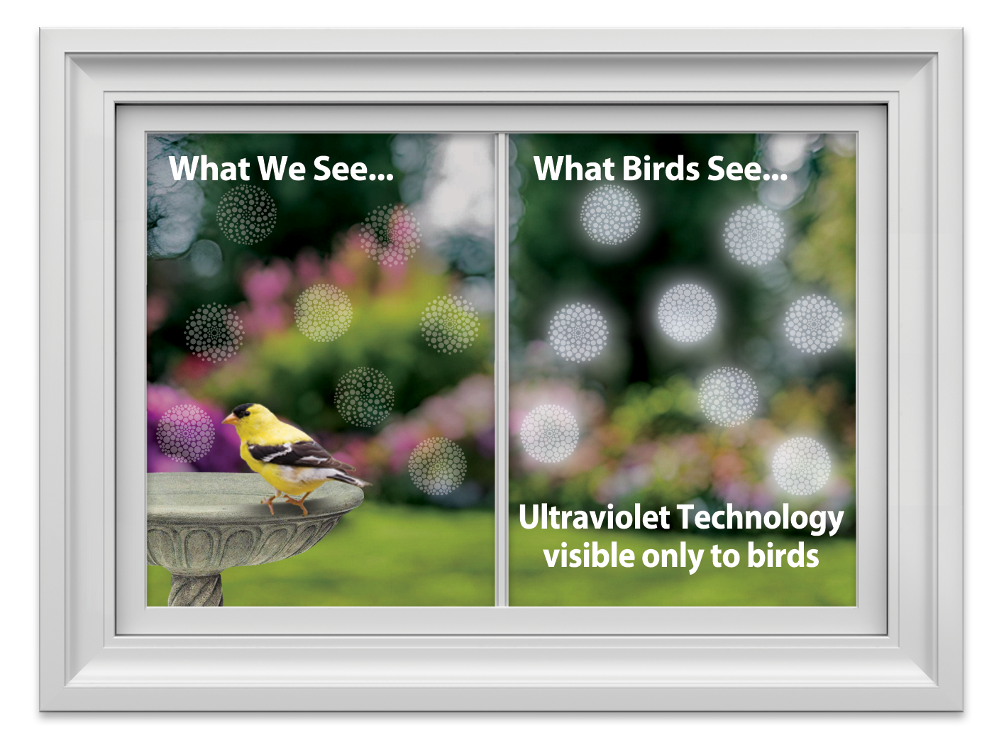 Modern Dots Decal Envelope – WindowAlert