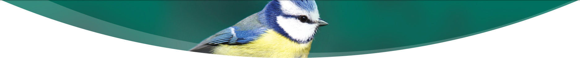 Collections – WindowAlert