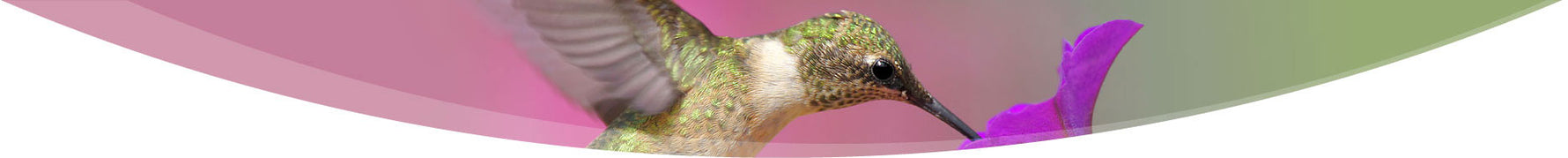 Our Videos – WindowAlert