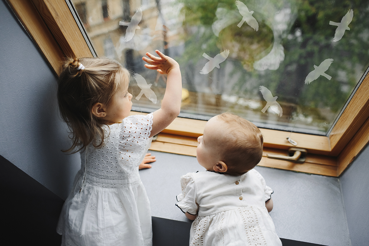 Hawk Decal Envelope – WindowAlert