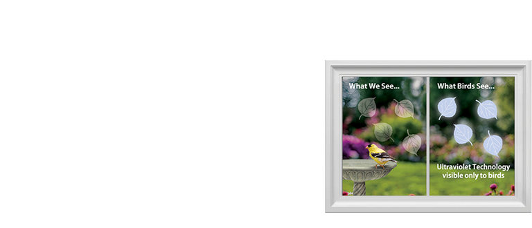 Prevent Birds From Striking Windows | WindowAlert Decals