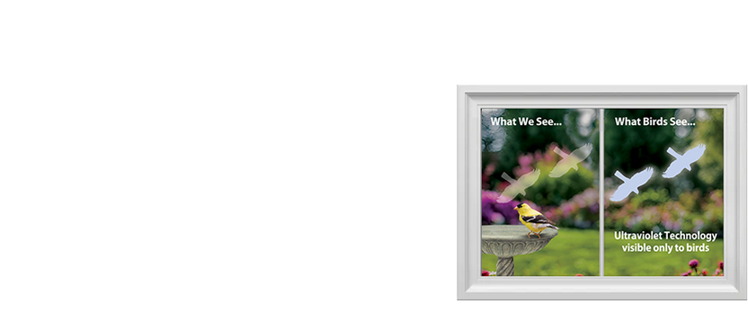 Prevent Birds From Striking Windows | WindowAlert Decals