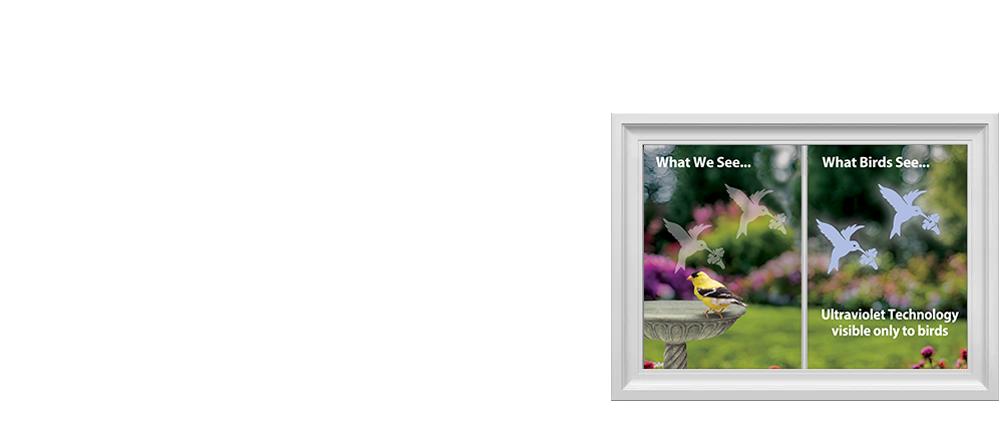 Prevent Birds From Striking Windows | WindowAlert Decals