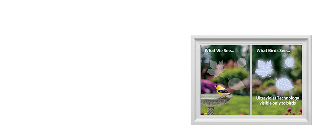 Prevent Birds From Striking Windows | WindowAlert Decals