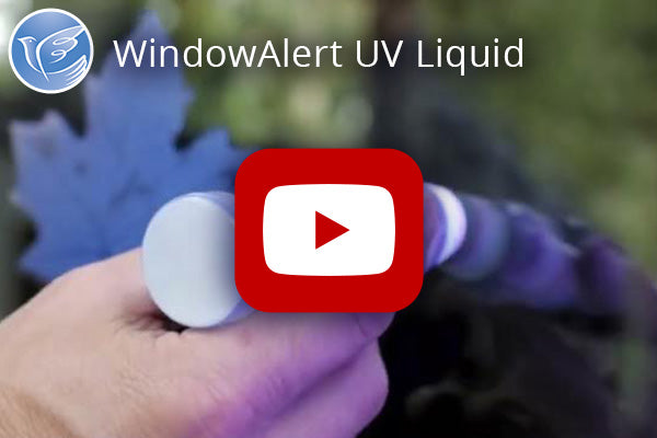 Prevent Birds From Striking Windows | WindowAlert Decals